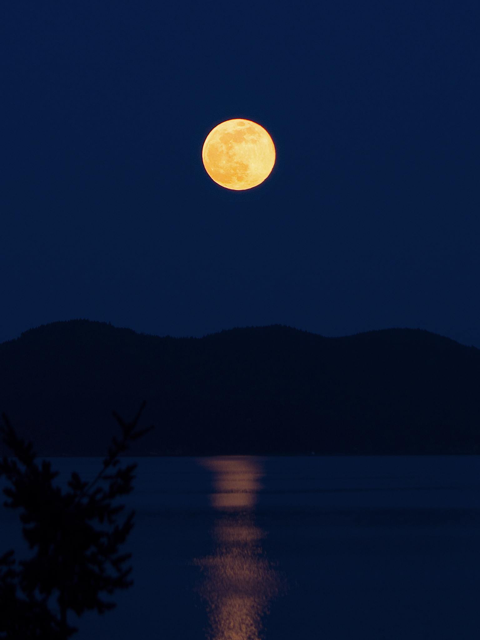 “Once in a Blue Moon”: 7 Things to Do for this October Blue Moon – The ...